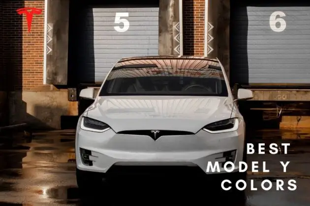 Worst to Best Tesla Model Y Colors (2025 Update!)